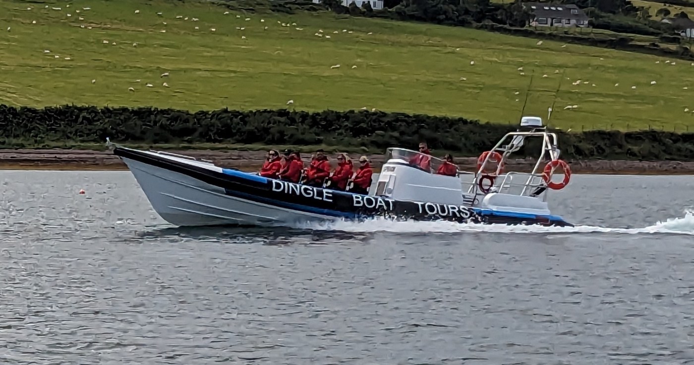 Dingle Boat Tours RIB Wildlife Adventure Private | Dingle Boat Tours
